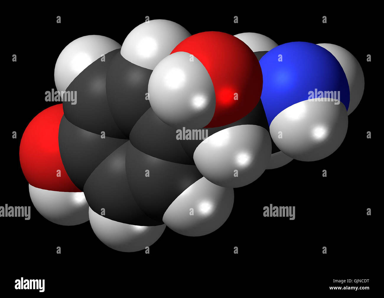 This 3D model represents the octopamine molecule, a biogenic amine ...