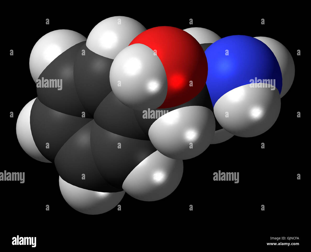 This 3D spacefill model represents the molecule phenylethanolamine, a ...