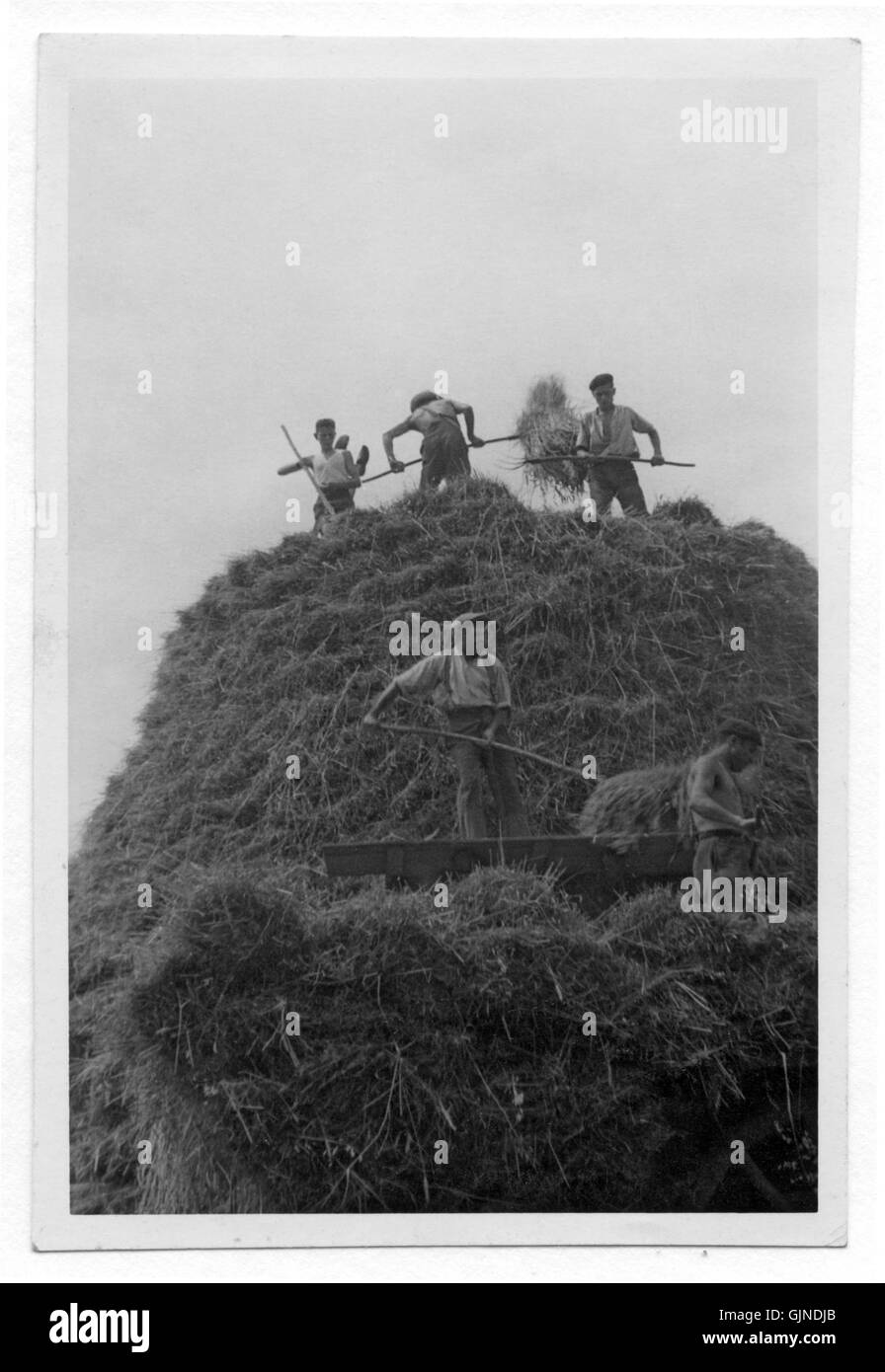 Calm countryside art Cut Out Stock Images & Pictures - Alamy