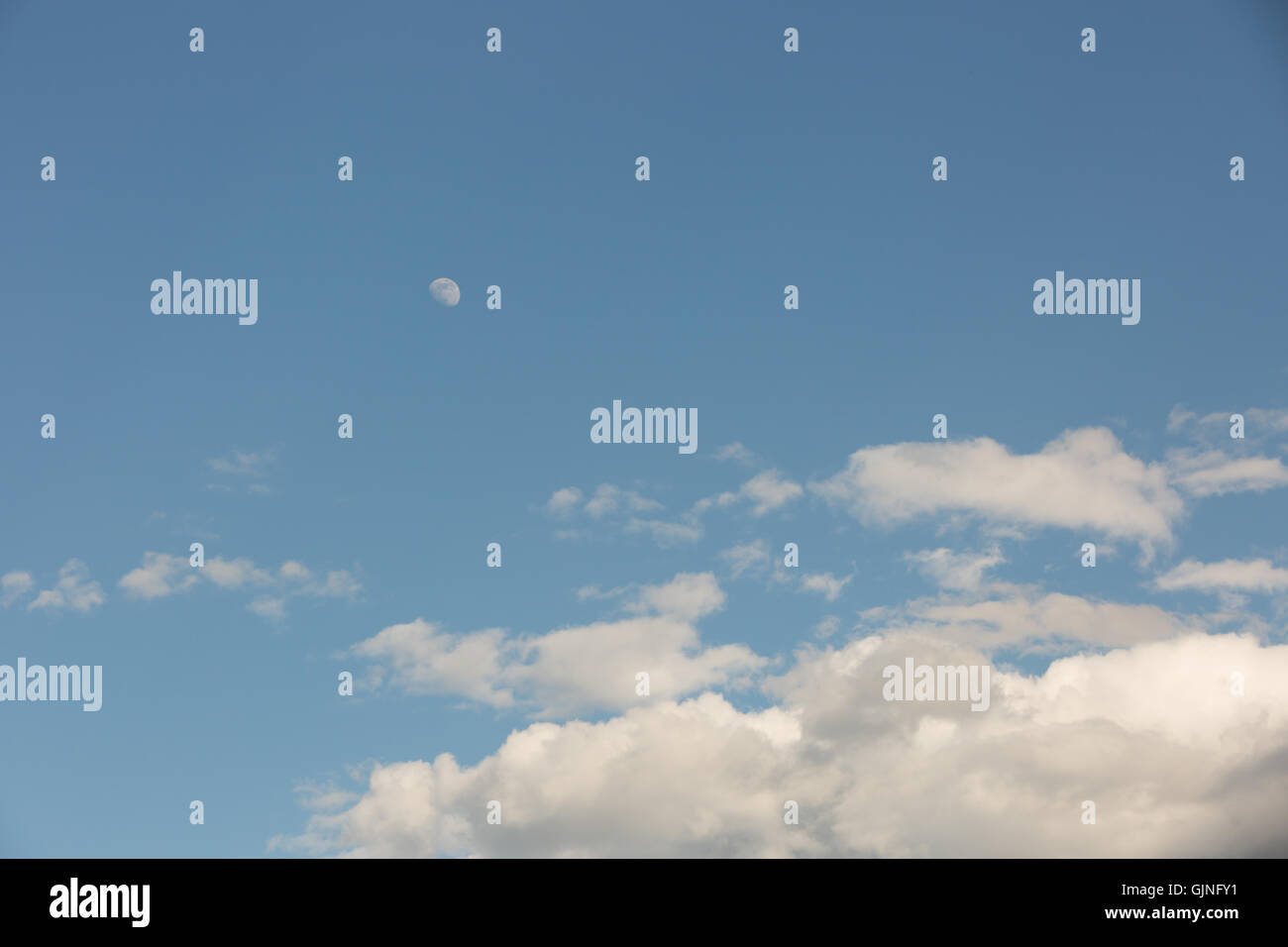 Day moon in blue sky Stock Photo - Alamy