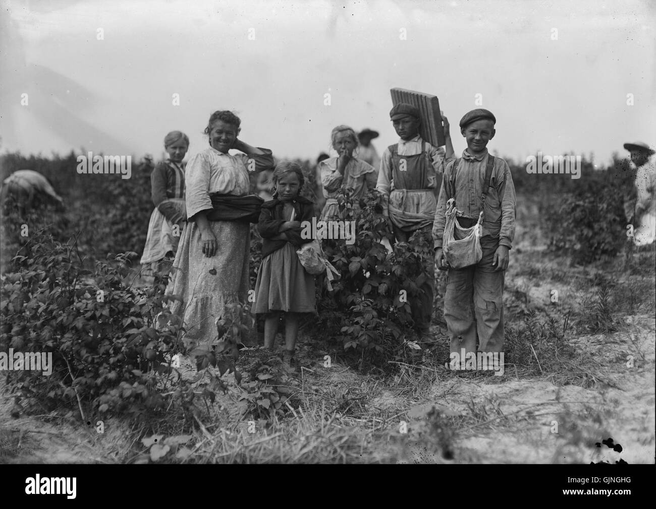 A depiction of Polish workers harvesting berries, reflecting rural ...