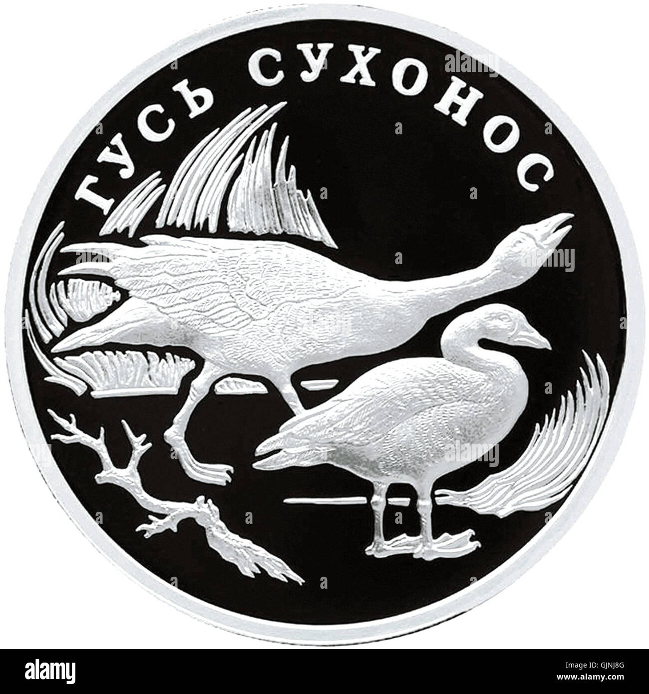 This likely refers to a specific railway or transport identification ...