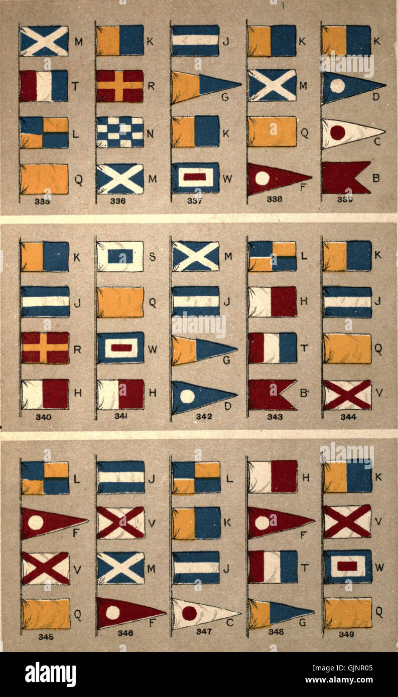 A detailed plate showcasing flags from various nations around the world ...