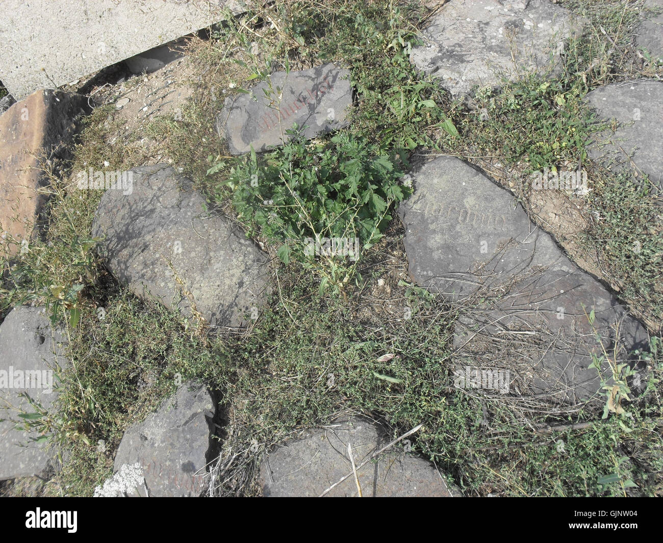 Abolition of feudalism hi-res stock photography and images - Alamy