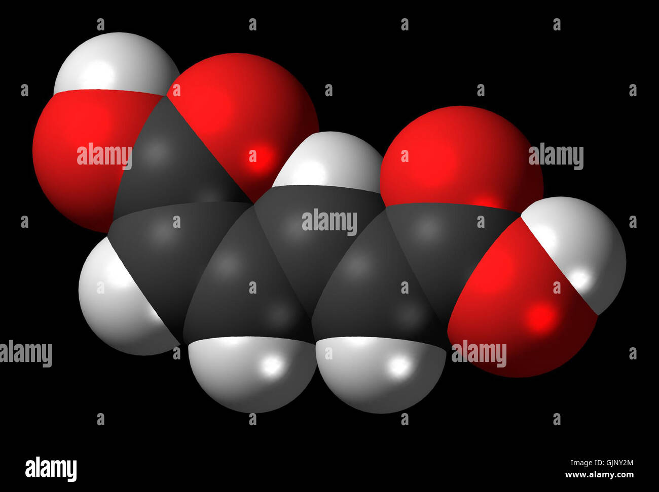 The 3D spacefill model of Muconic acid illustrates its molecular ...