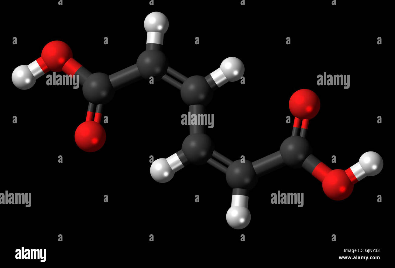 The 3D balls of Muconic acid represent a molecular structure often used ...