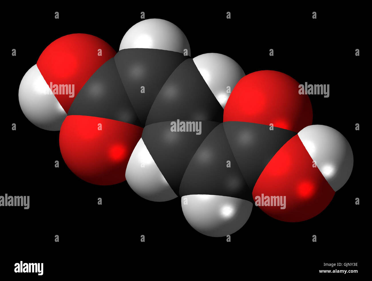 This entry refers to a 3D space-filling model of Muconic acid, a ...