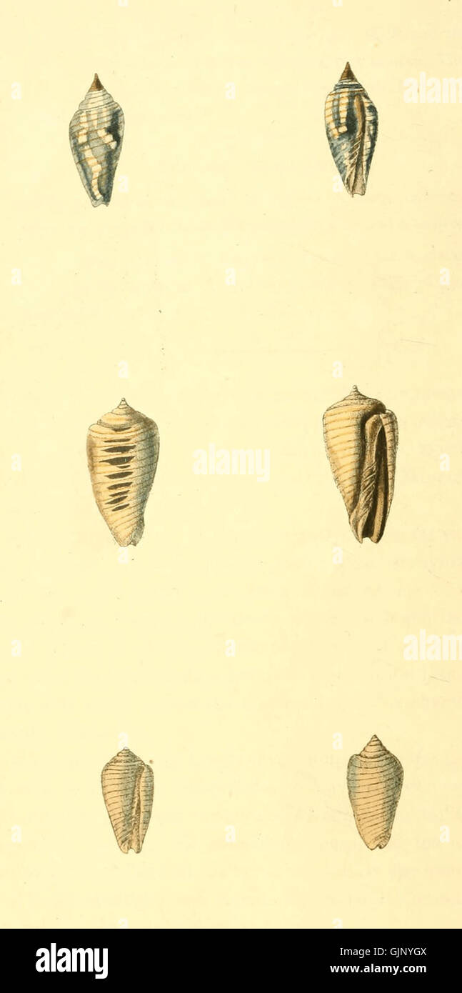 24 volume hi-res stock photography and images - Alamy