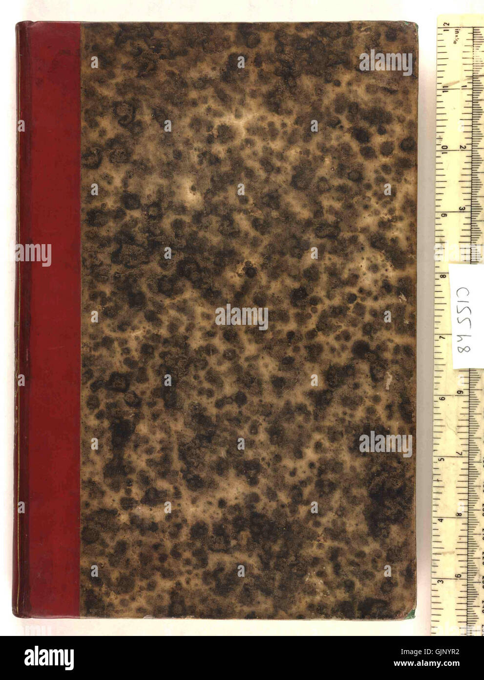 This collection of engravings showcases classical sculptures and ...