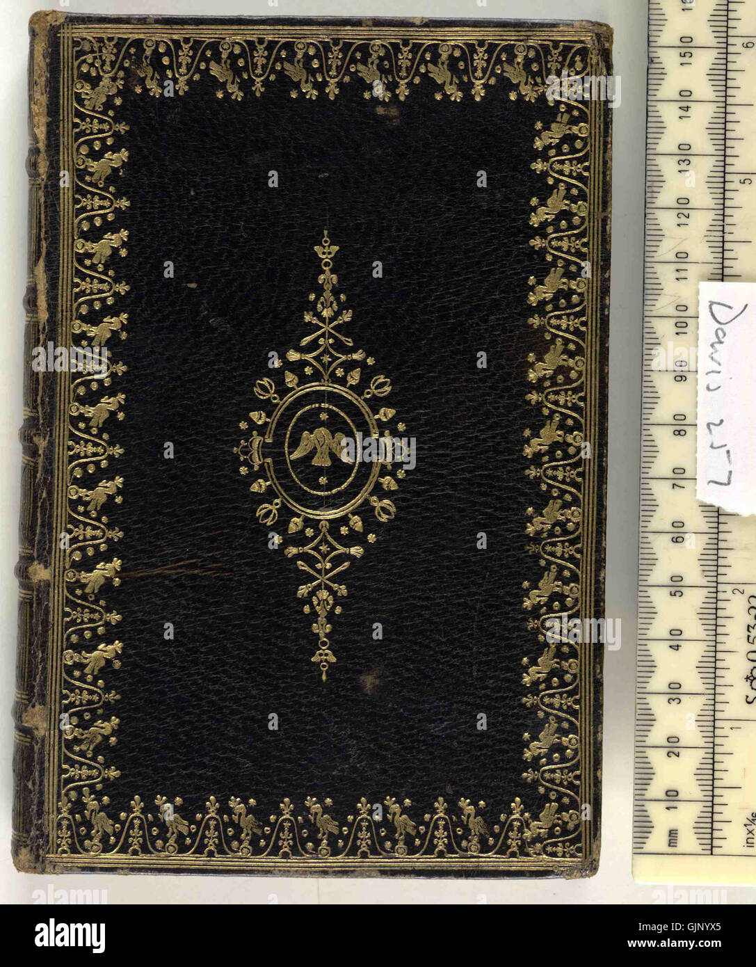 Precum hi-res stock photography and images - Alamy