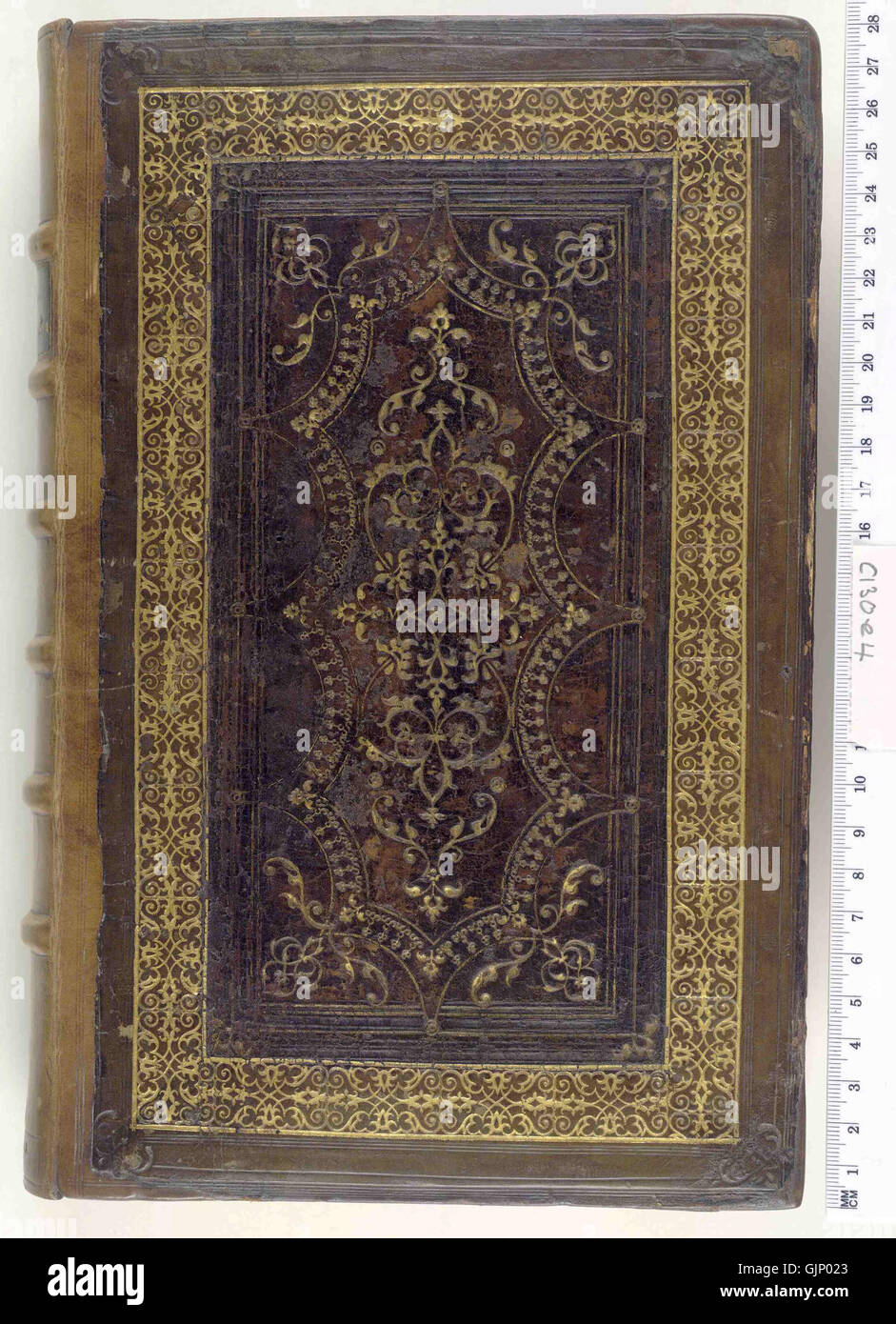 The Greek text of Homer's 'Iliad' and 'Odyssey', with the ...