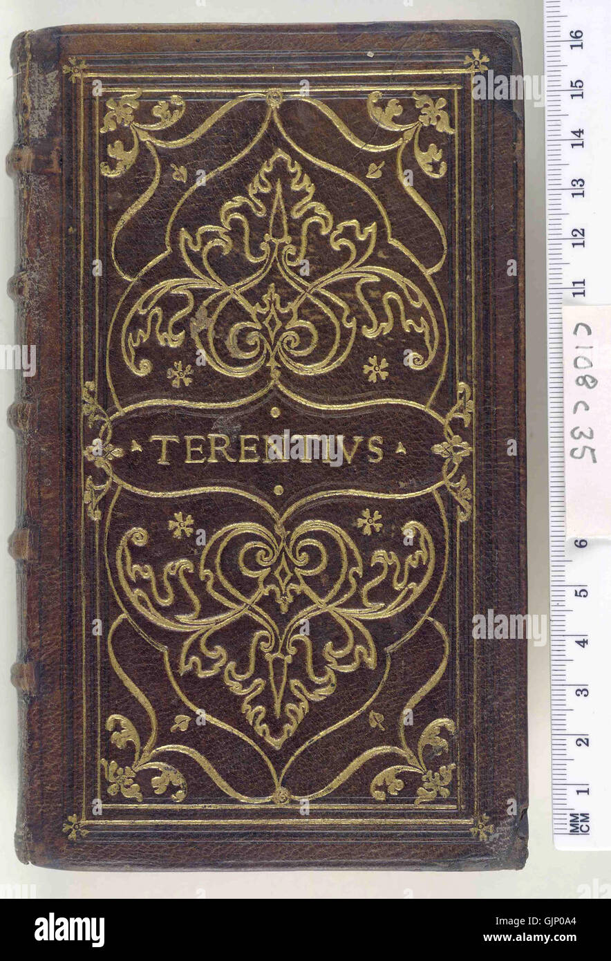 Renaissance sources hi-res stock photography and images - Alamy