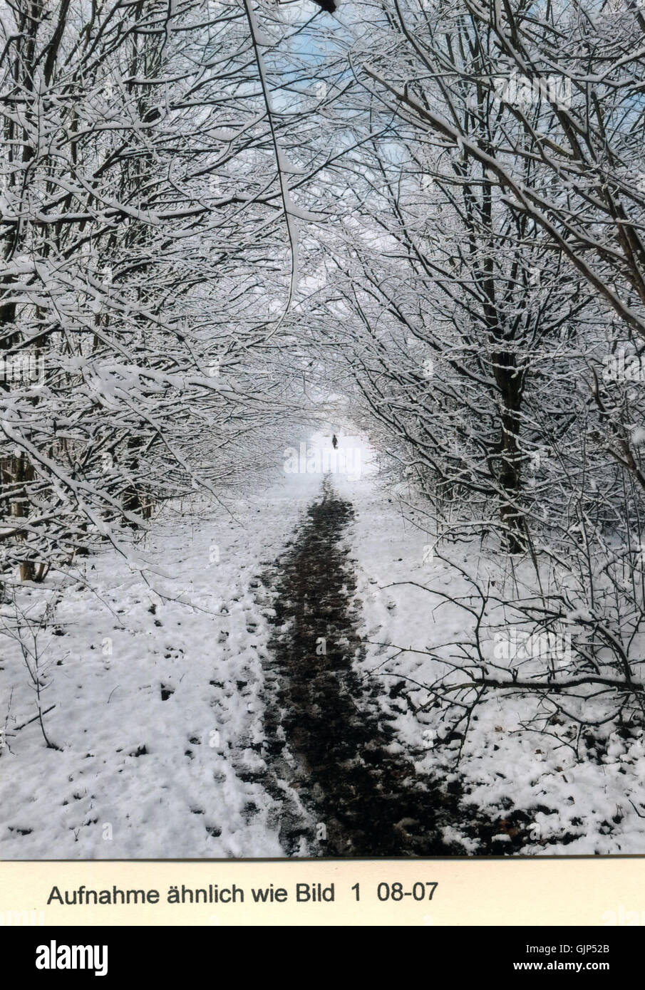 This image, dated 1 August 2007, shows a scene similar to a previous ...