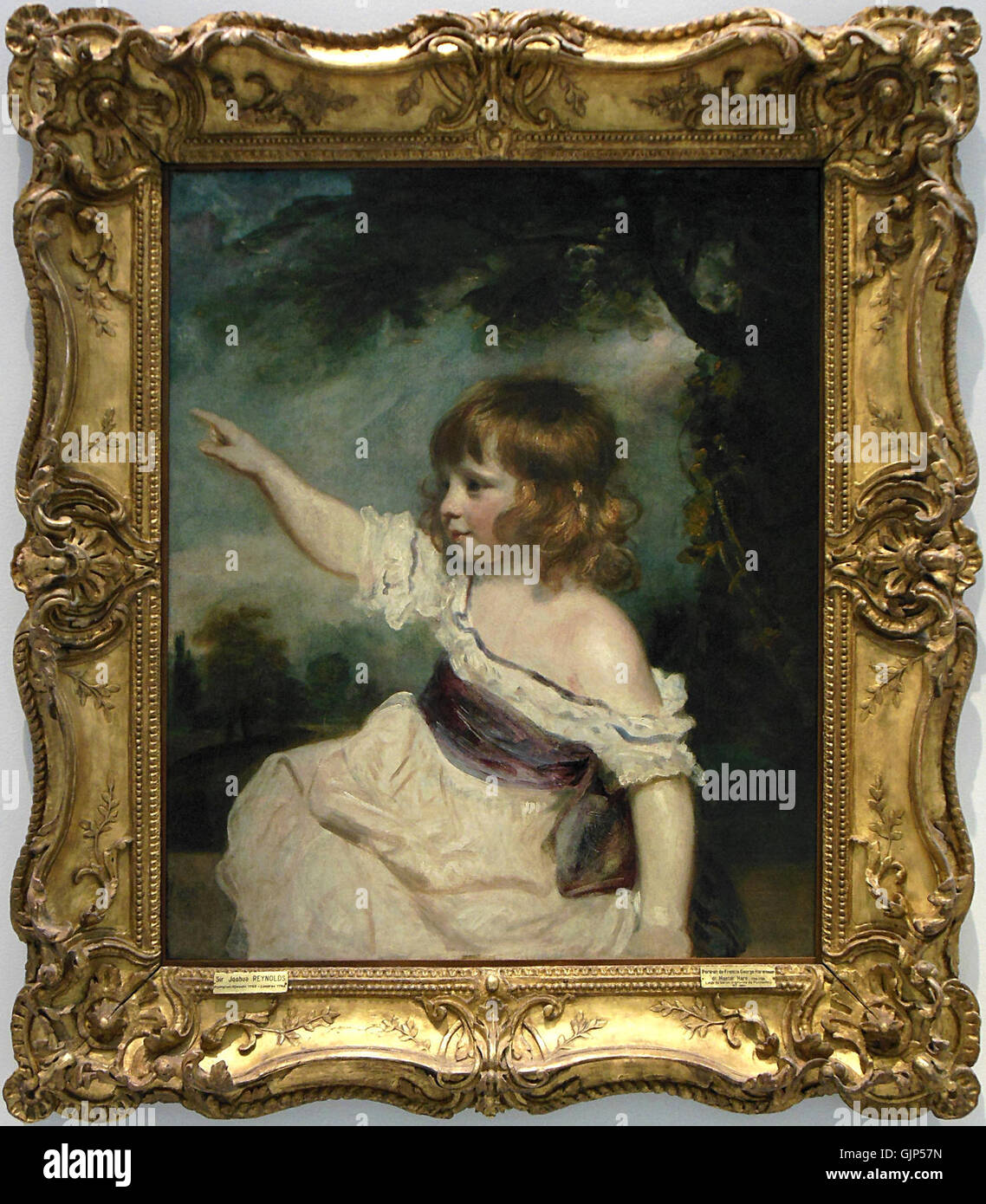 Hare said master hi-res stock photography and images - Alamy