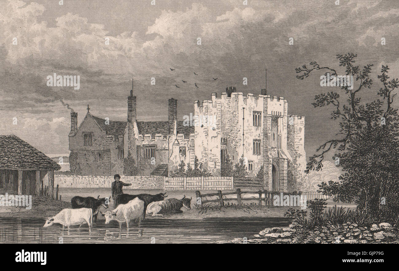 Hever Castle. Kent. SHEPHERD, antique print 1829 Stock Photo - Alamy