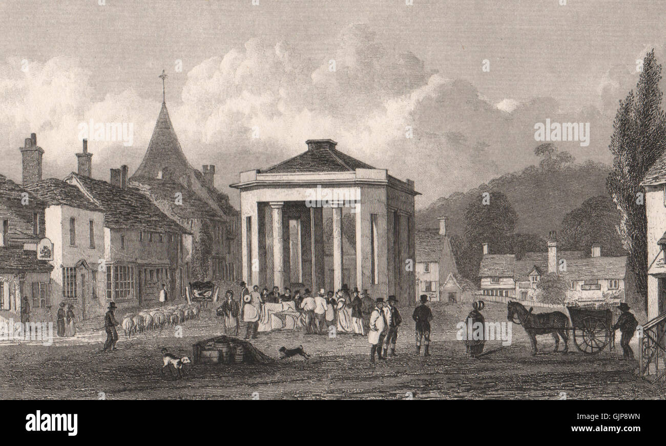 Westerham Green, Westerham, Kent. SHEPHERD, antique print 1829 Stock ...