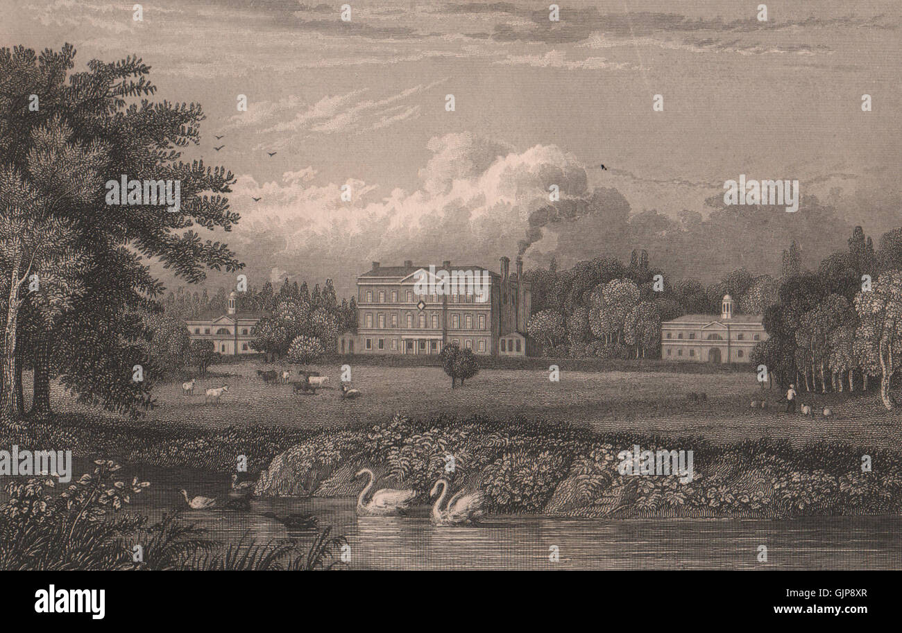 Hales Place, Hackington, near Canterbury, Kent. BAYNES, antique print ...