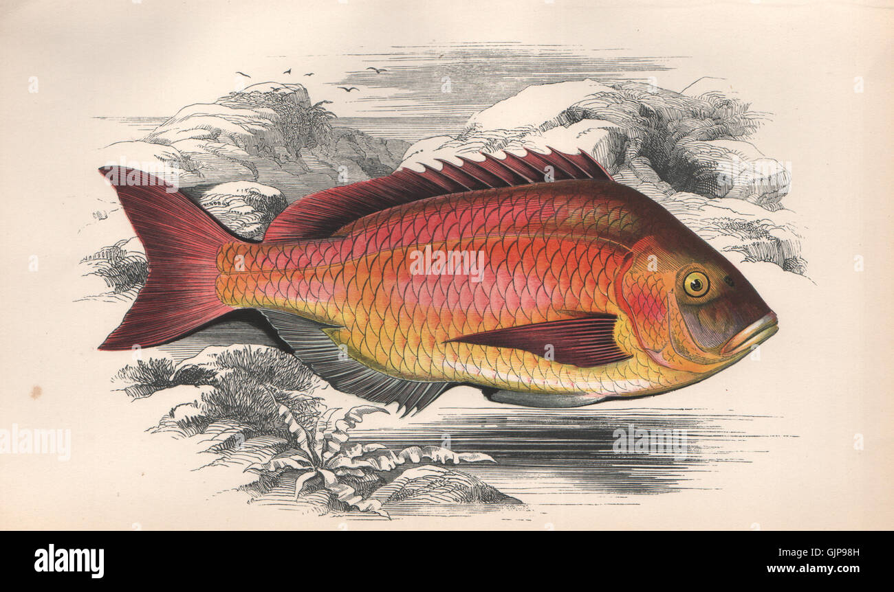 Benjamin fawcett hi-res stock photography and images - Alamy