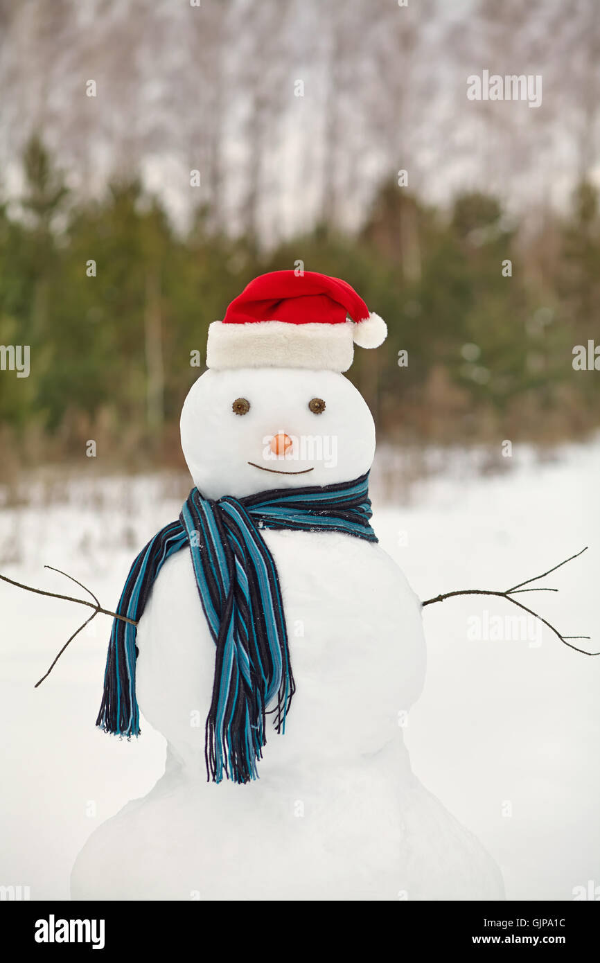 snowman in a forest Stock Photo - Alamy