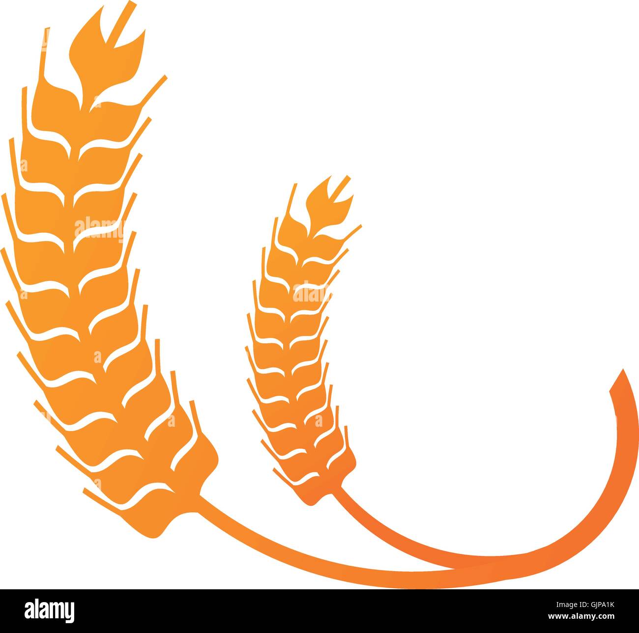 wheat ear icon Stock Vector Image & Art - Alamy