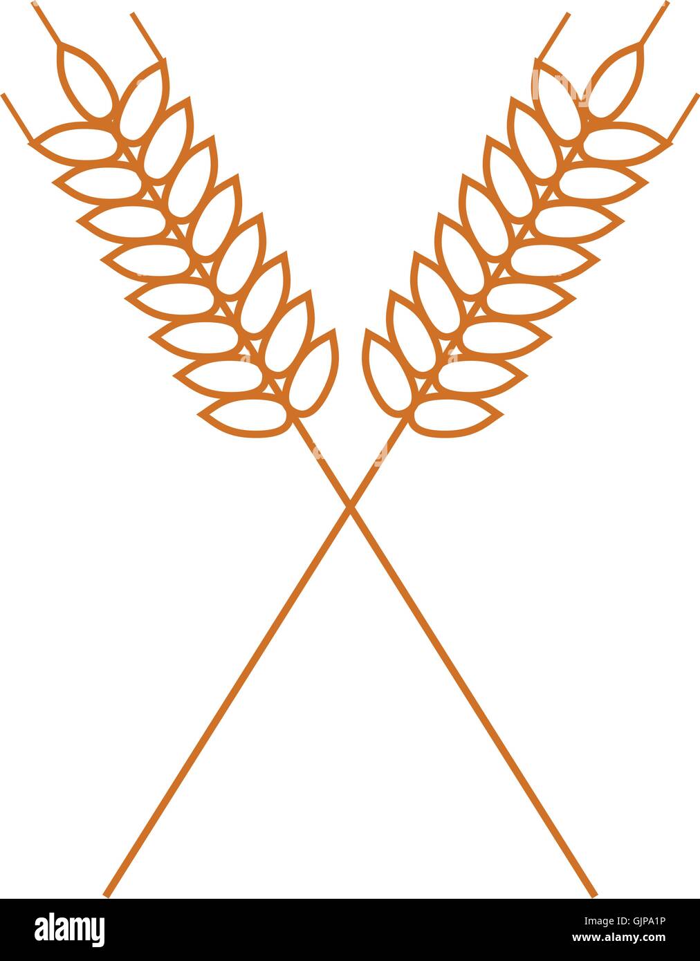 wheat ear icon Stock Vector Image & Art - Alamy