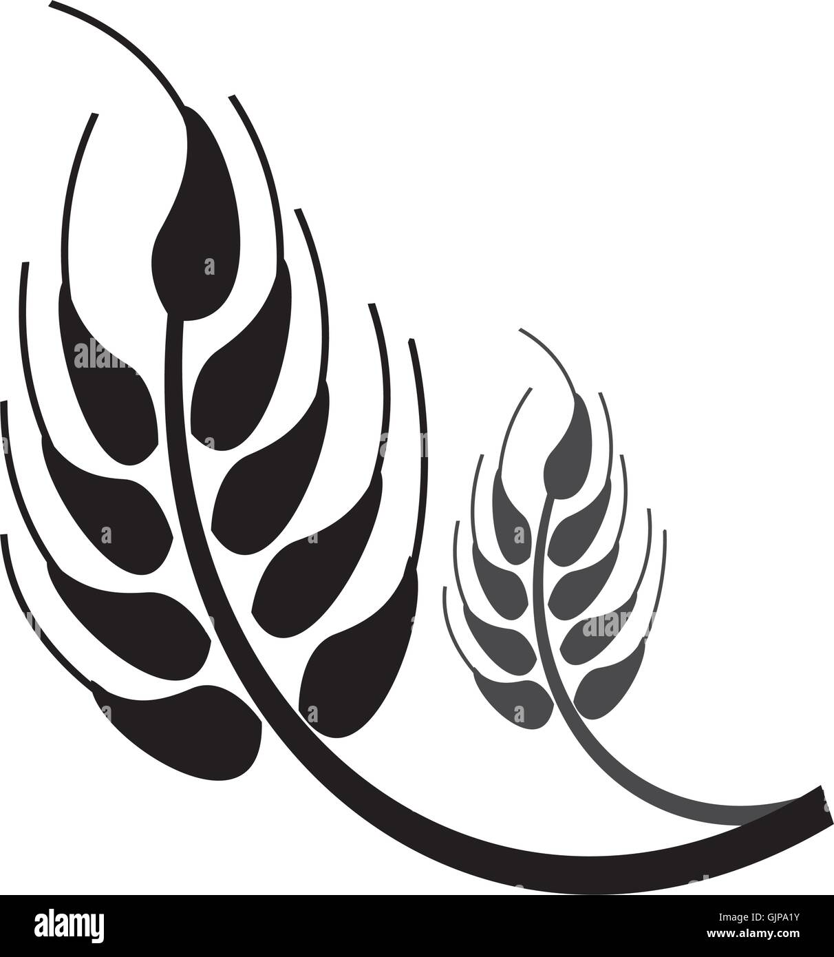 wheat ear icon Stock Vector Image & Art - Alamy