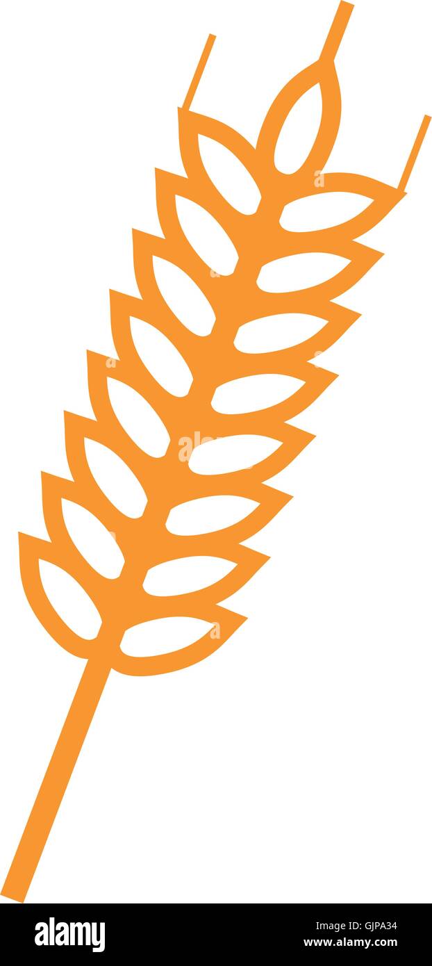 wheat ear icon Stock Vector Image & Art - Alamy
