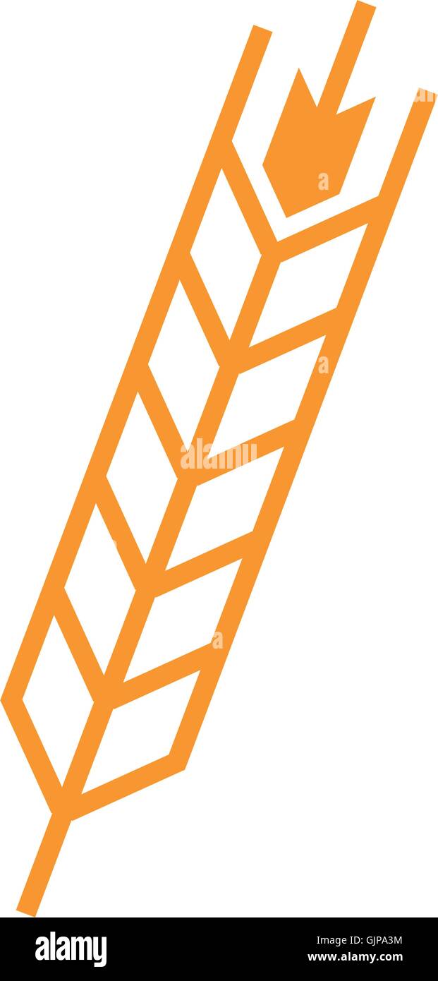 wheat ear icon Stock Vector Image & Art - Alamy