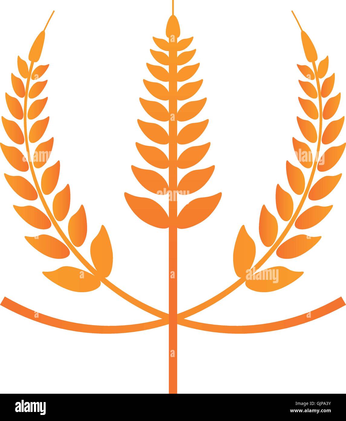 wheat ear icon Stock Vector Image & Art - Alamy