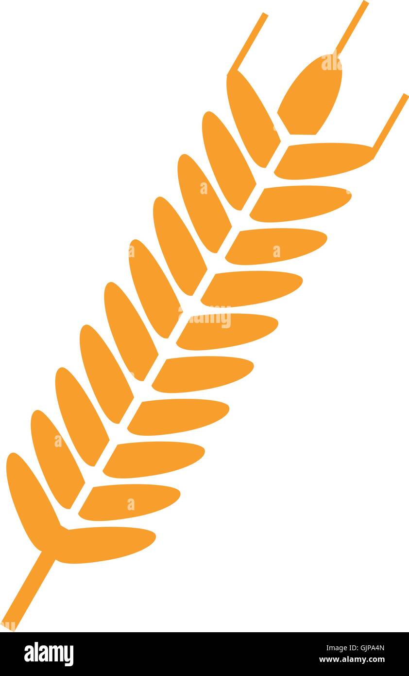 wheat ear icon Stock Vector Image & Art - Alamy