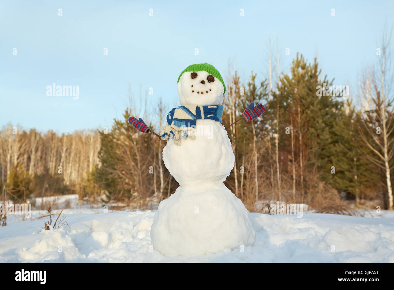 snowman in a forest Stock Photo - Alamy