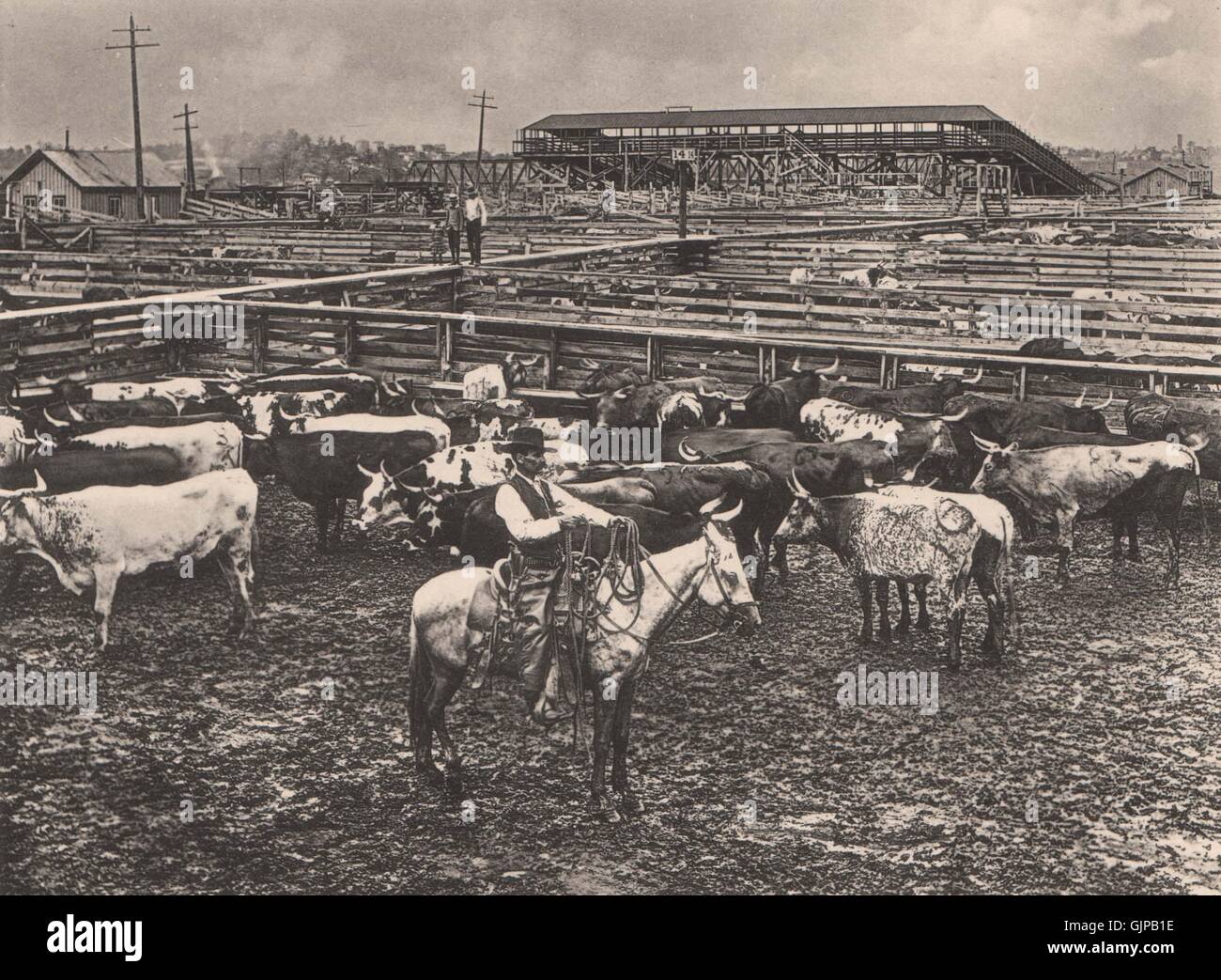 Stock yards kansas city hi-res stock photography and images - Alamy