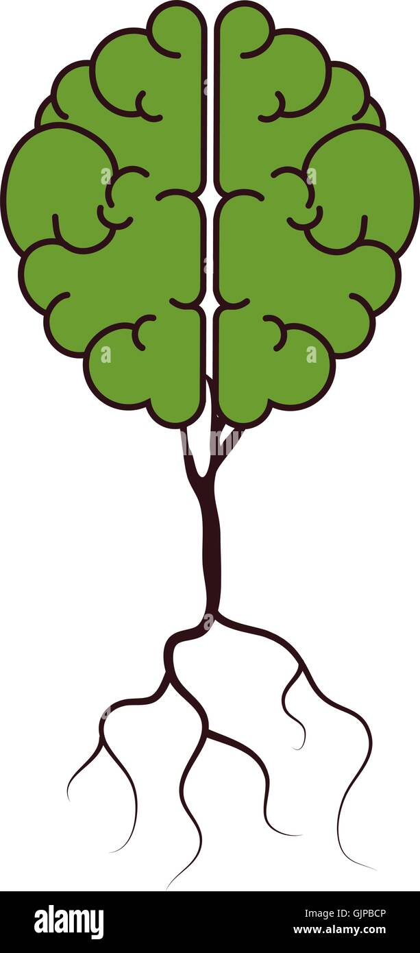 brain plant green Stock Vector Image & Art - Alamy