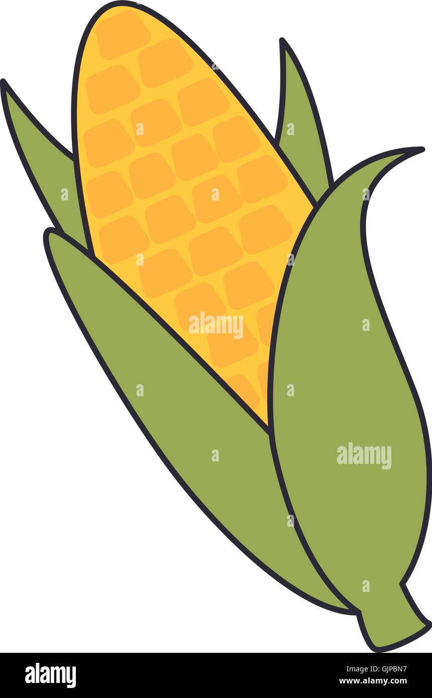 Corn Vegetable Food Stock Vector Image And Art Alamy