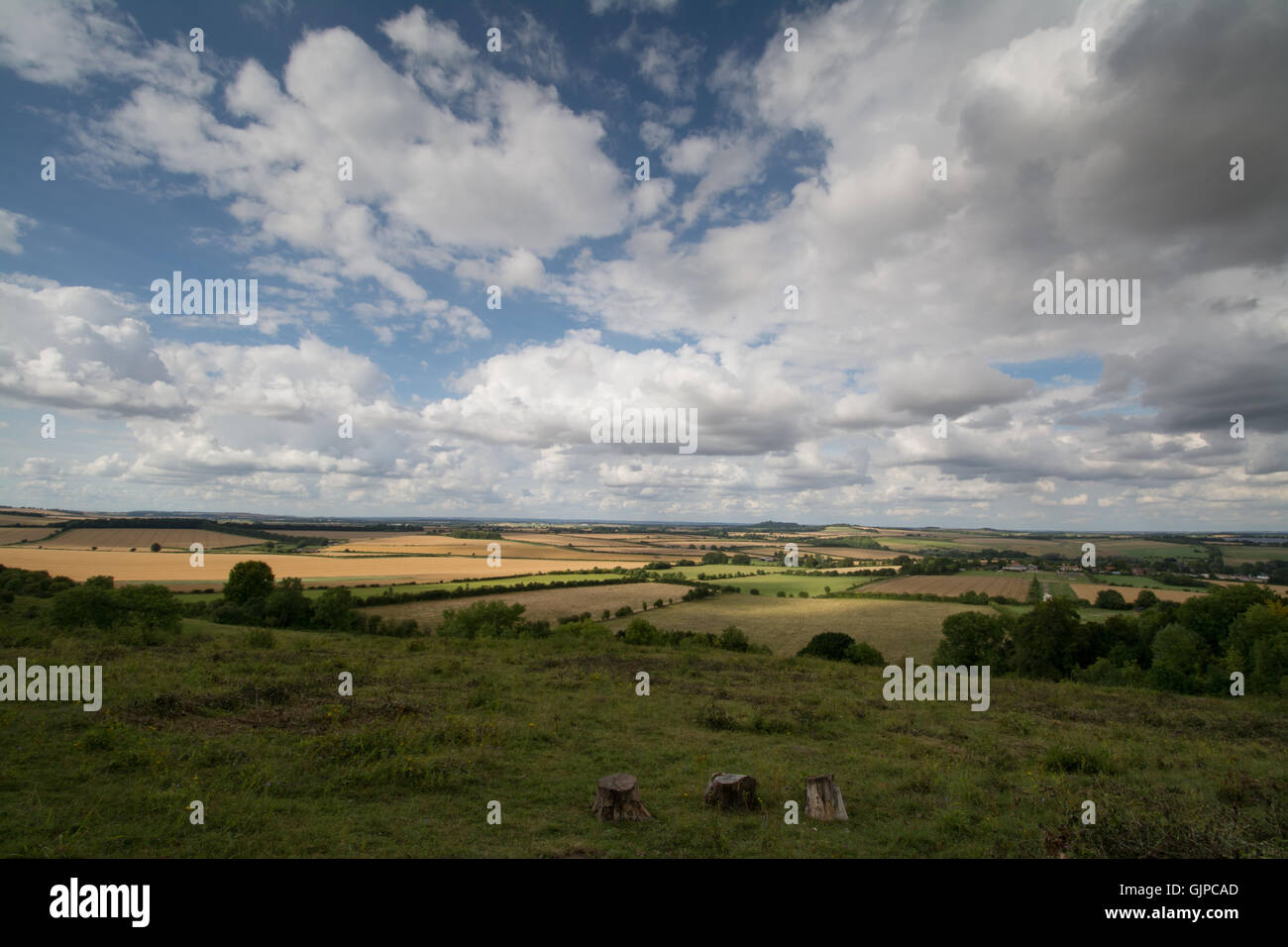 Summer view over fields from Broughton Down in Hampshire, England with ...