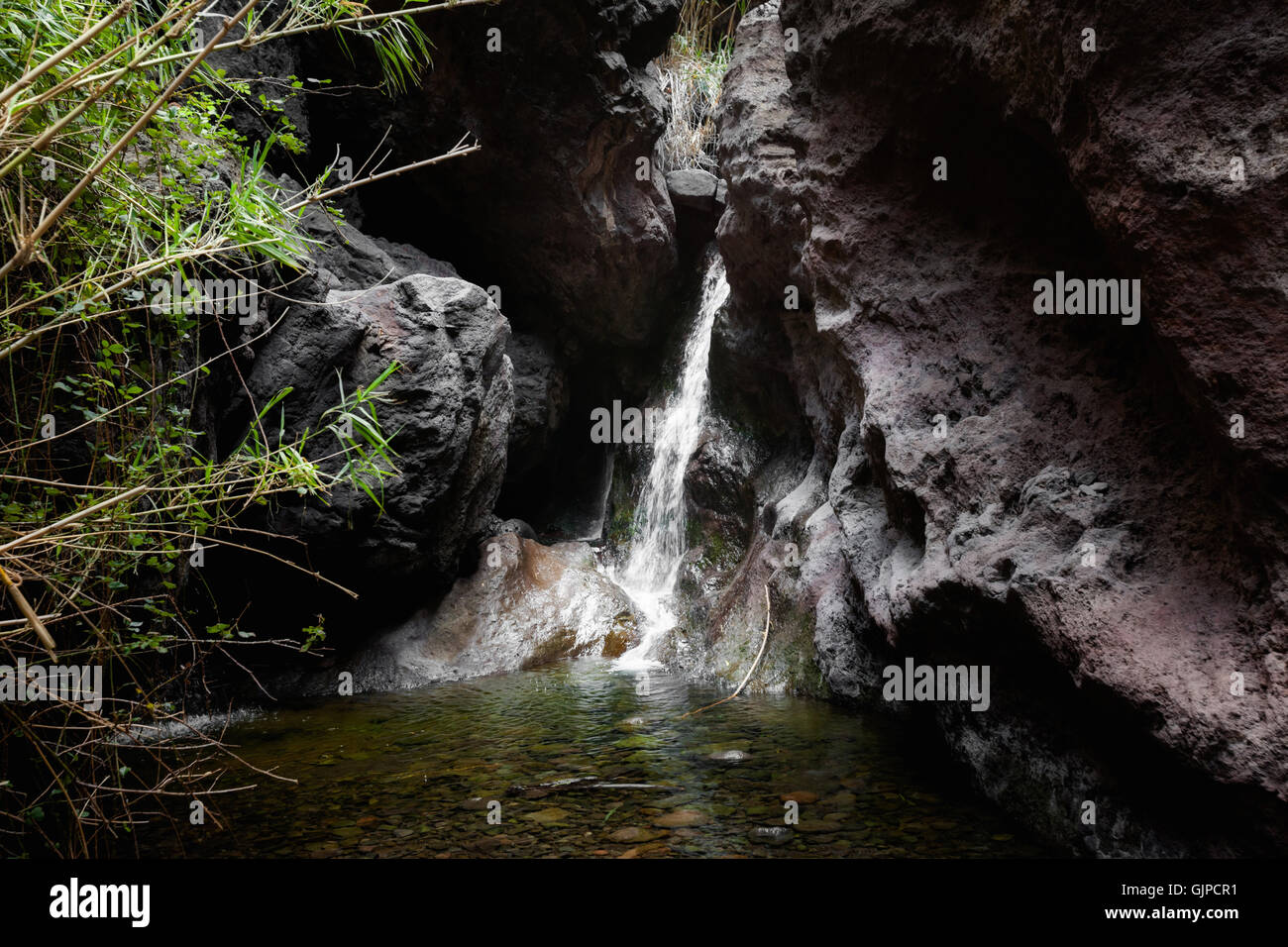 Mountain waterfall on tropical island Tenerife, Canary in Spain. Gorge ...