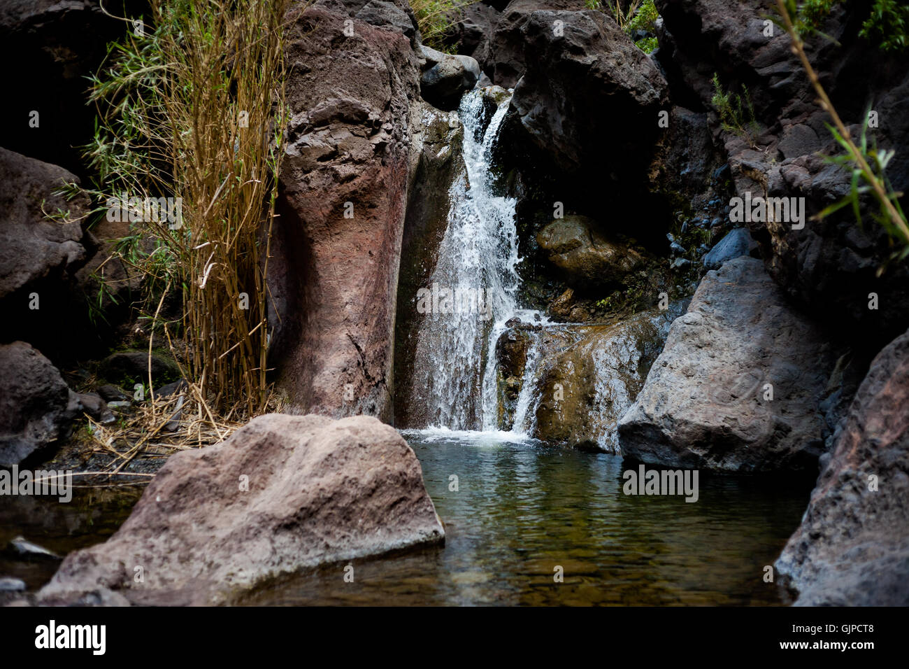 Mountain waterfall on tropical island Tenerife, Canary in Spain. Gorge ...