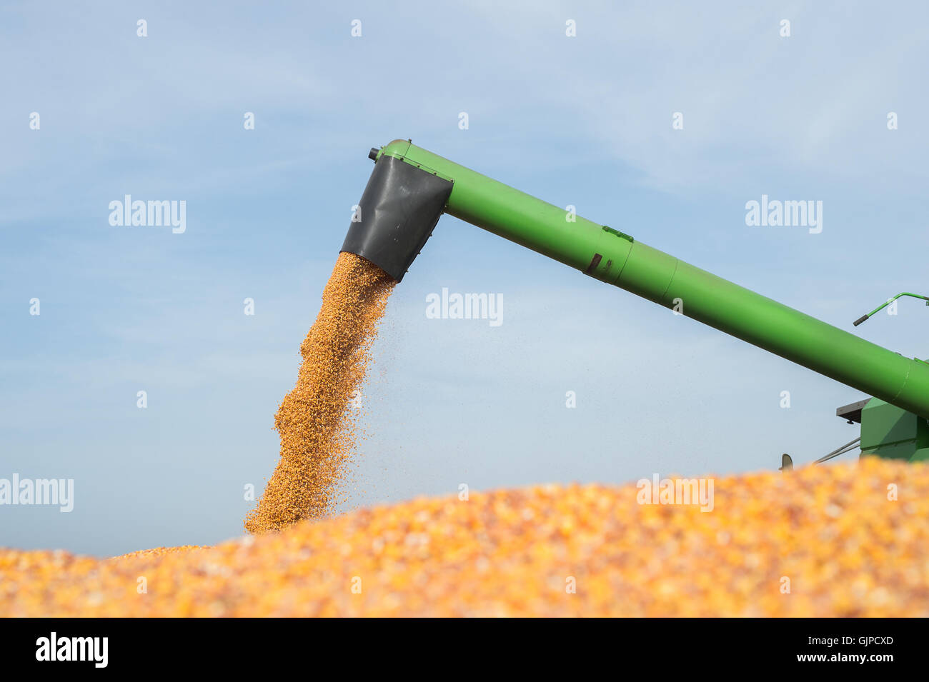 Corn harvest machine working in field hi-res stock photography and ...