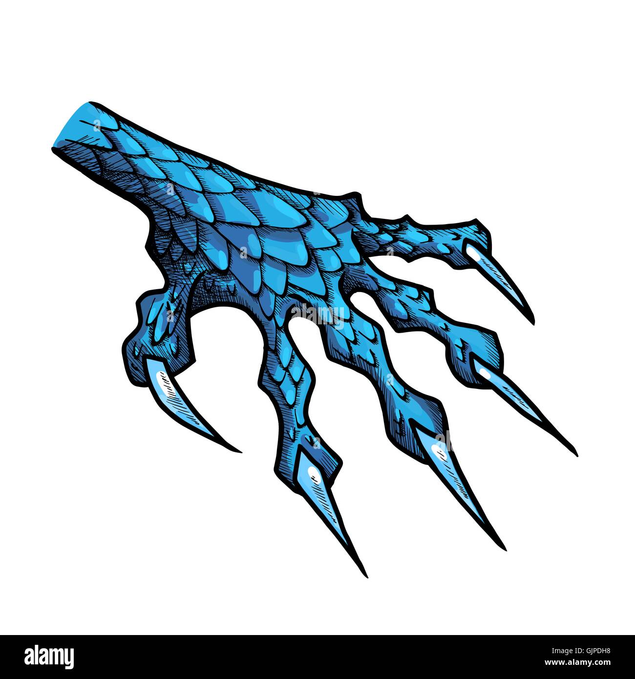 Dragon Claw Drawings