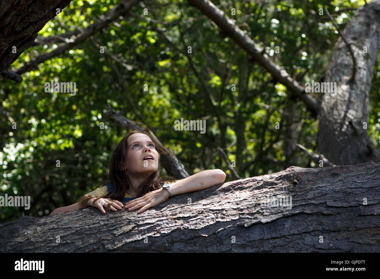 Pete's Dragon is an upcoming American fantasy adventure film directed ...