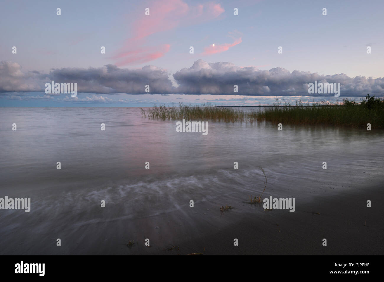 Evening Landscape in Valgerand 11th August 2016, Estonia Stock Photo ...