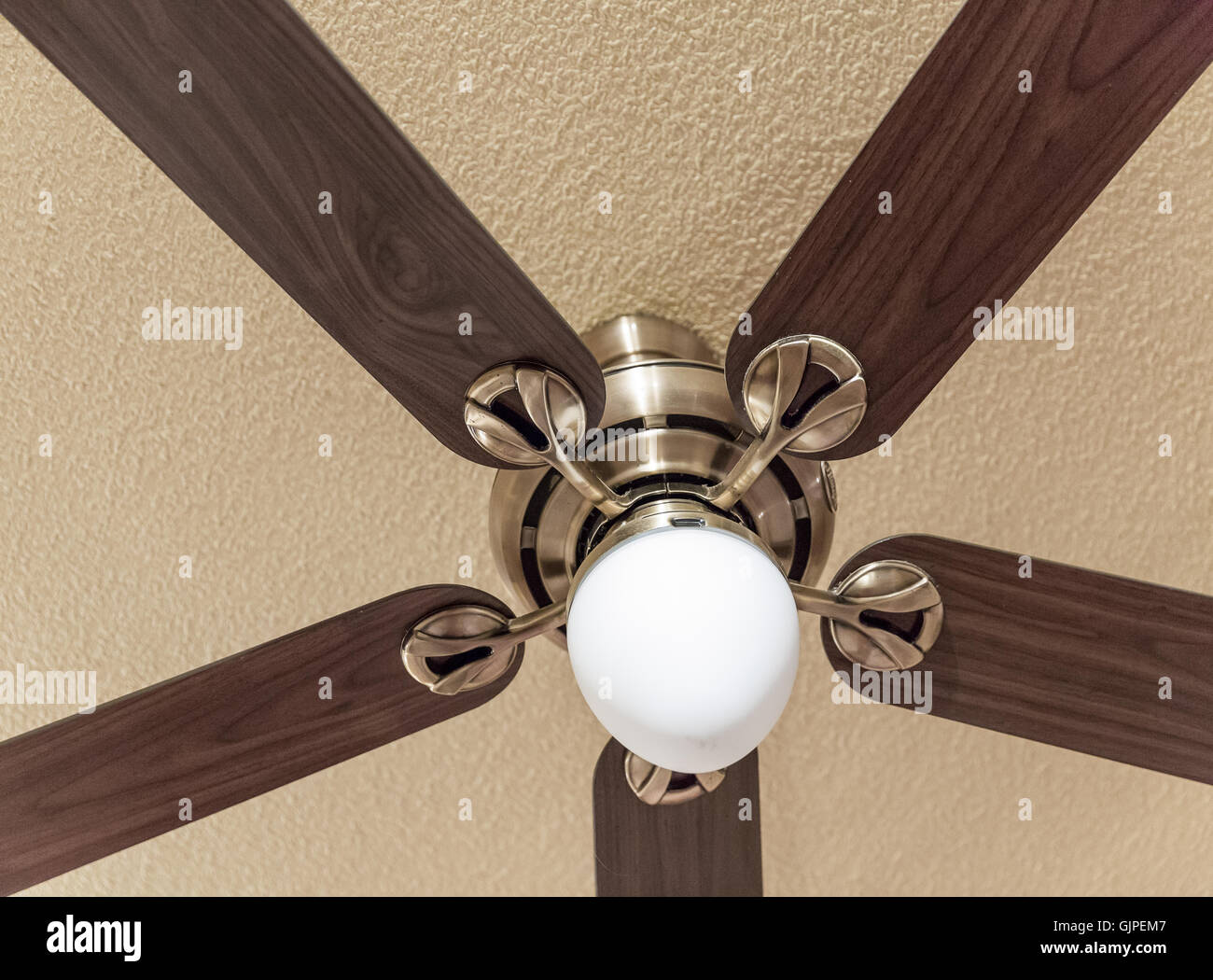 Wooden ceiling fan with light Stock Photo - Alamy