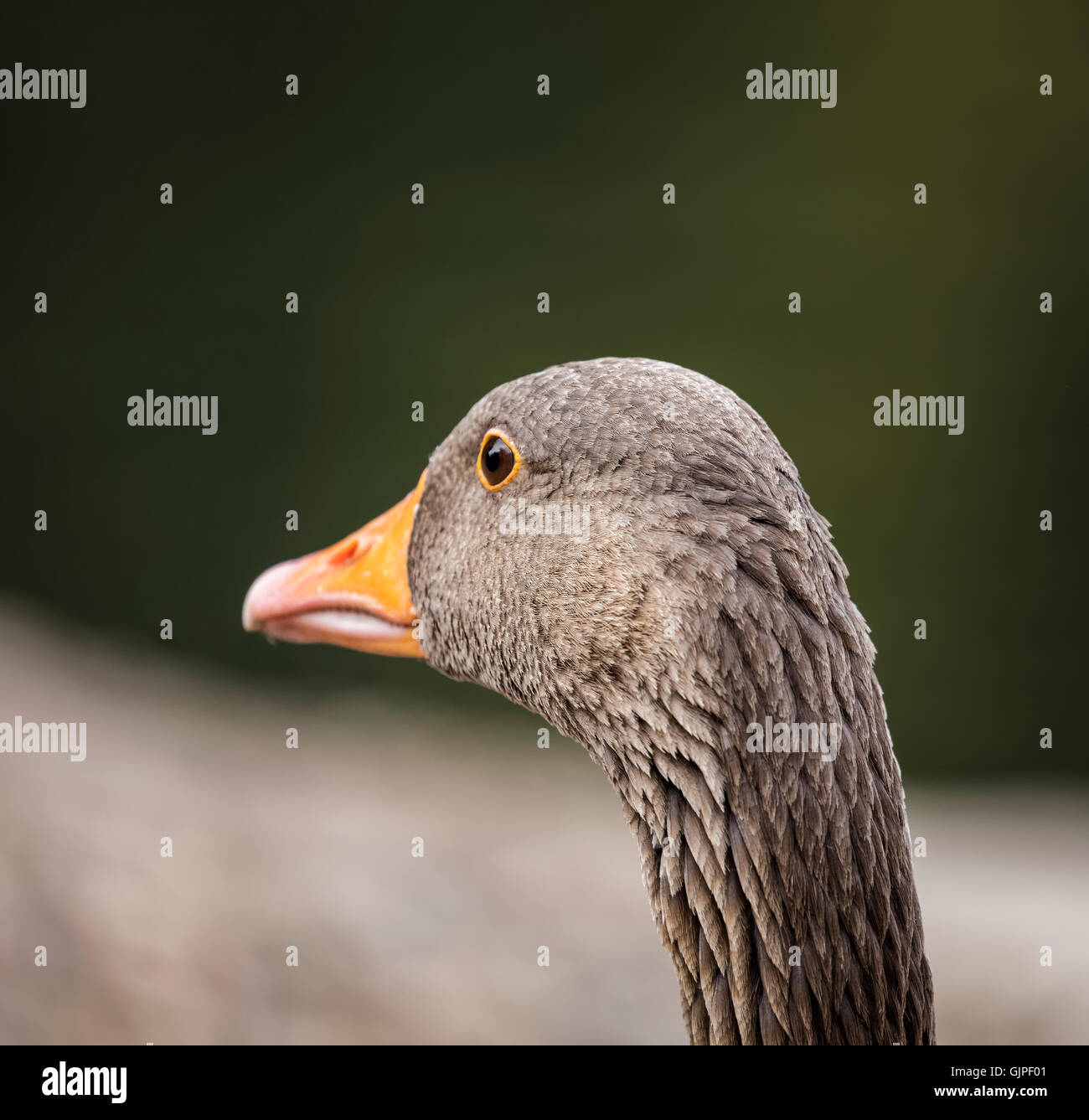 Flight shot from top hi-res stock photography and images - Alamy