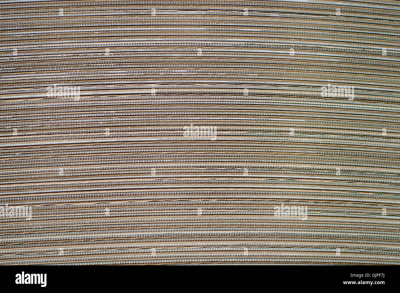 Side View of a Corrugated Cardboard Stock Photo - Alamy