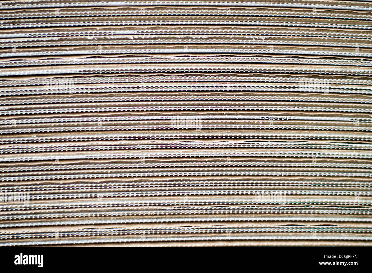 Side View of a Corrugated Cardboard Stock Photo - Alamy