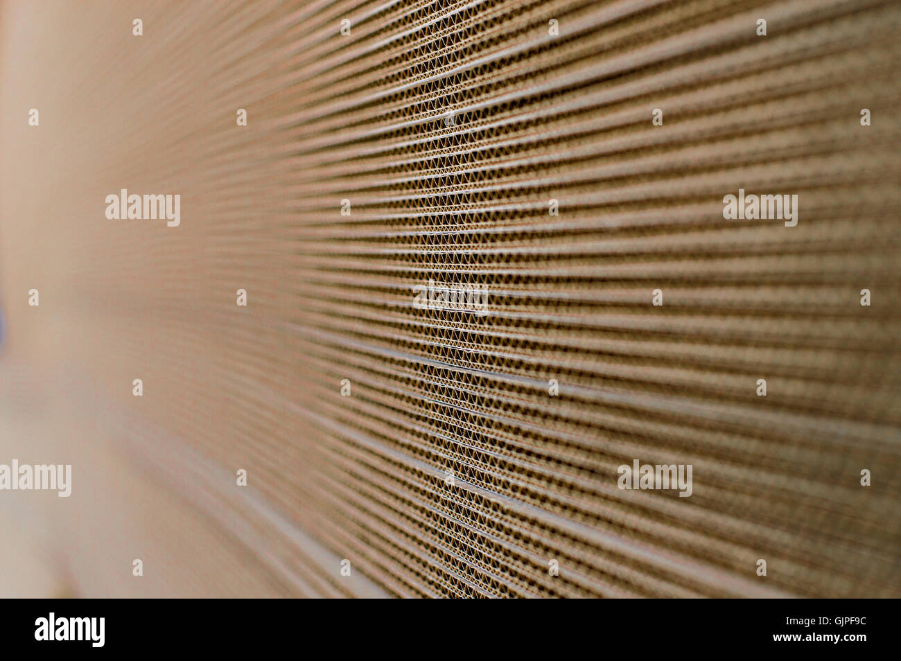 Side View of a Corrugated Cardboard Stock Photo - Alamy