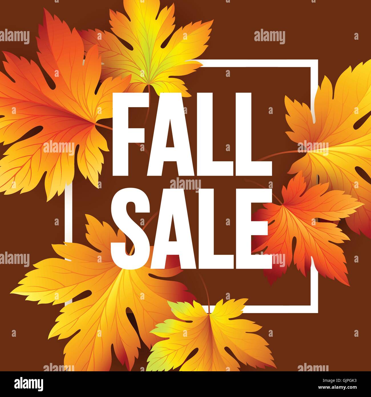Autumn seasonal banner design. Fall leaf. Vector illustration Stock ...