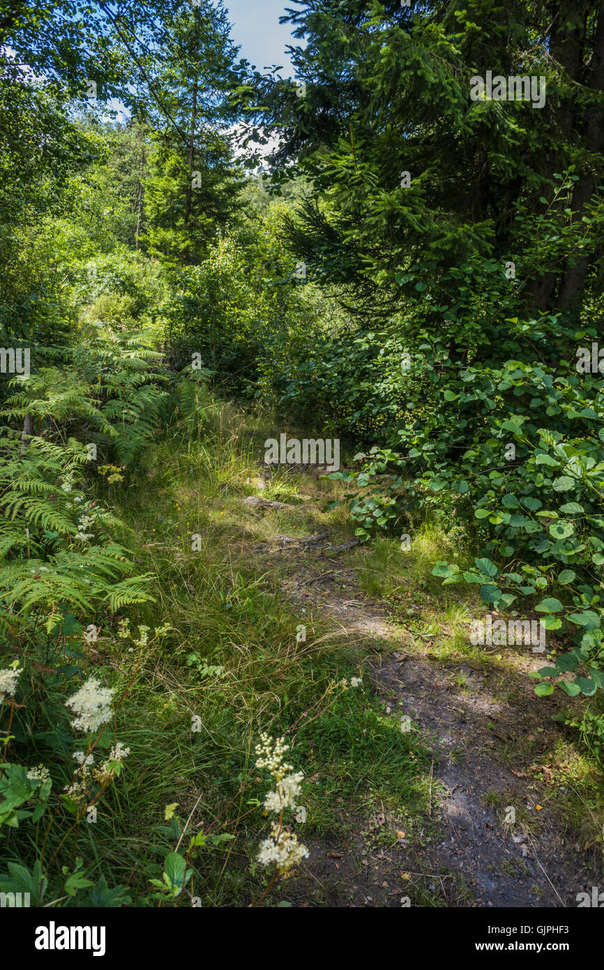 Wern ddu caerphilly hi-res stock photography and images - Alamy