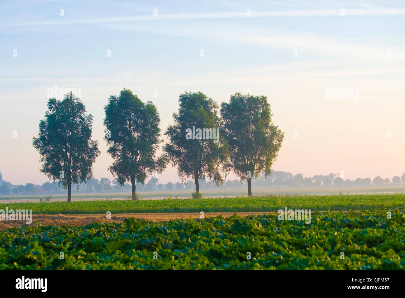 Flanders field hi-res stock photography and images - Alamy