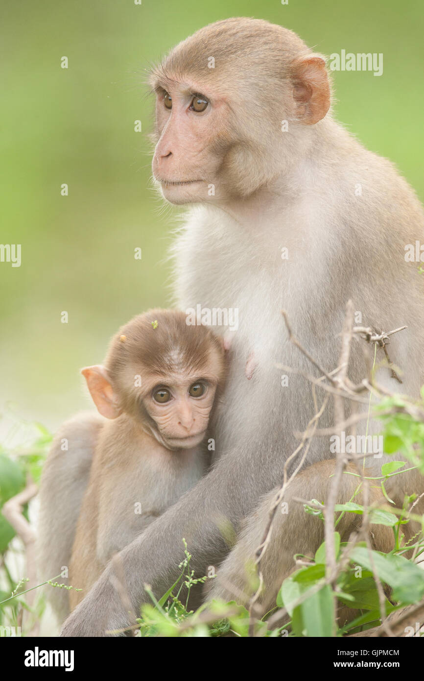 Inquisitive child hi-res stock photography and images - Alamy